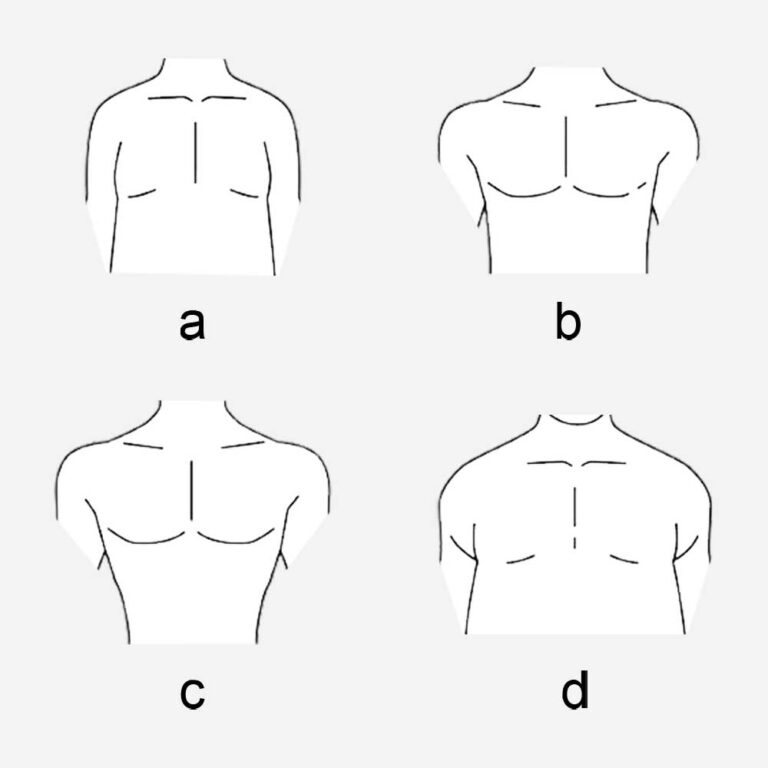 Questionário sobre formato do corpo masculino