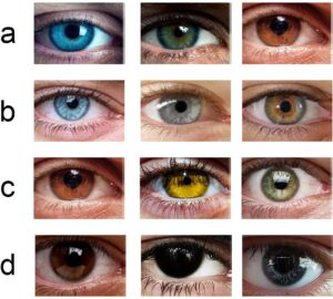 Seasonal Colour Analysis Quiz for Men