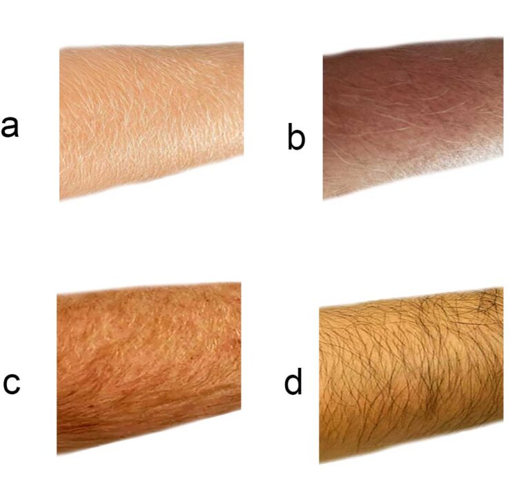 Seasonal Colour Analysis Quiz for Men