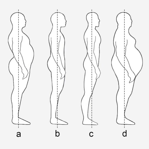 Questionário sobre formato do corpo masculino