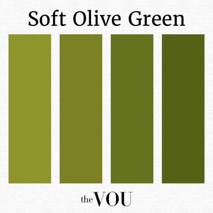 Autumn Colour Palette for Men - Complete Styling Guide