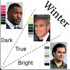 Seasonal Colour Palettes for Men (ALL 12) - Dress Like Celebrities ...
