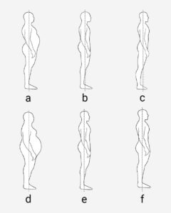 Men's Body Shape Quiz