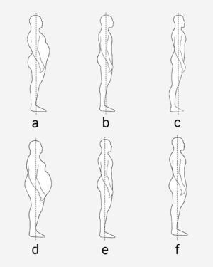 Men's Body Shape Quiz
