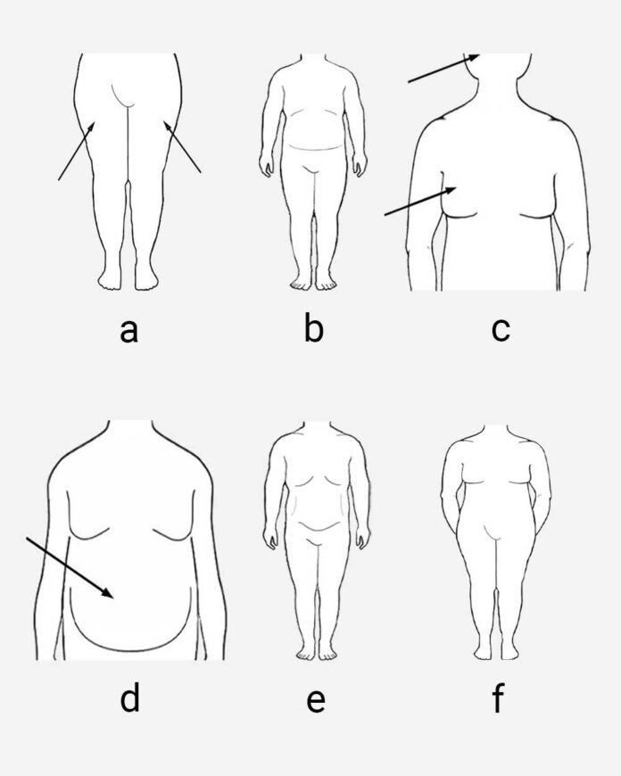 Men's Body Shape Quiz