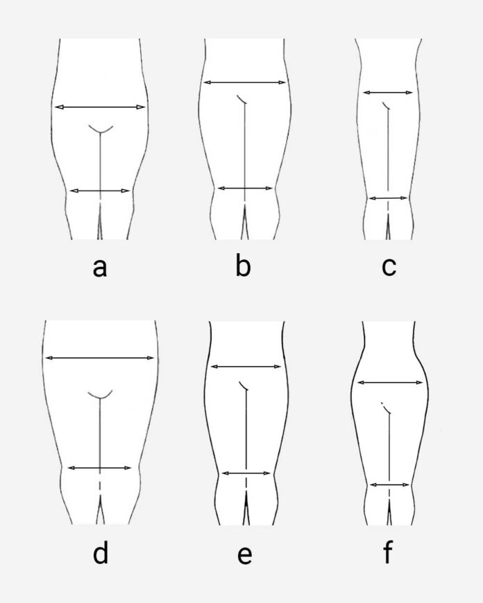 Men's Body Shape Quiz