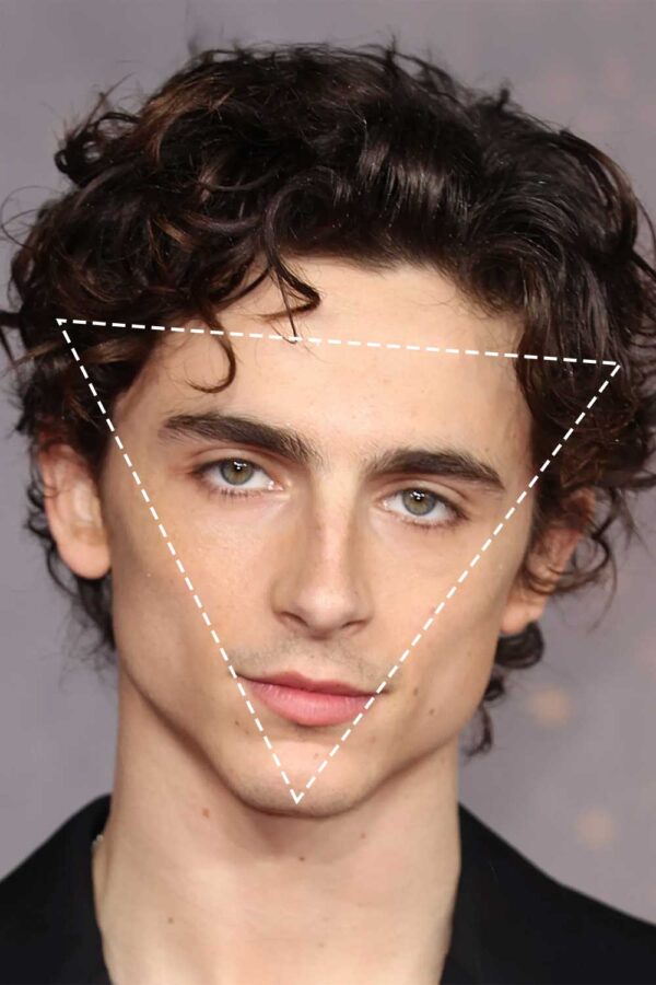 10 Male Celebrities with Triangle Face Shape - Complete Styling Guide ...