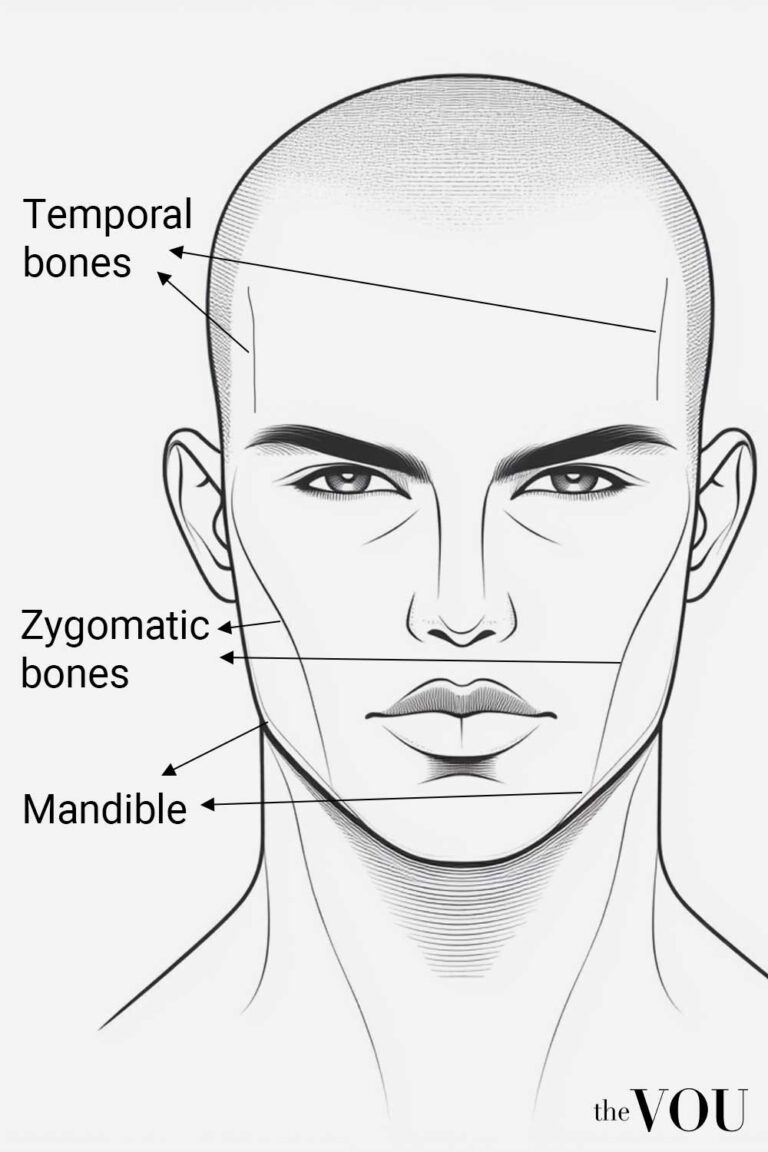 How to Know if You Have a Heart Face Shape - Features, Characteristics ...